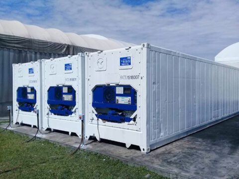 GALLERY - sntcontemp